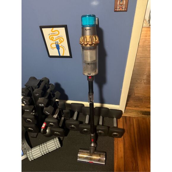 Dyson | Other | Dyson V2 Detect Slim | Poshmark